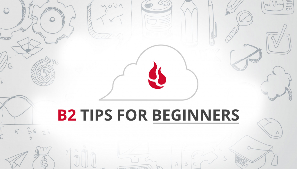 Newbie Guide to B2 Cloud Storage Service
