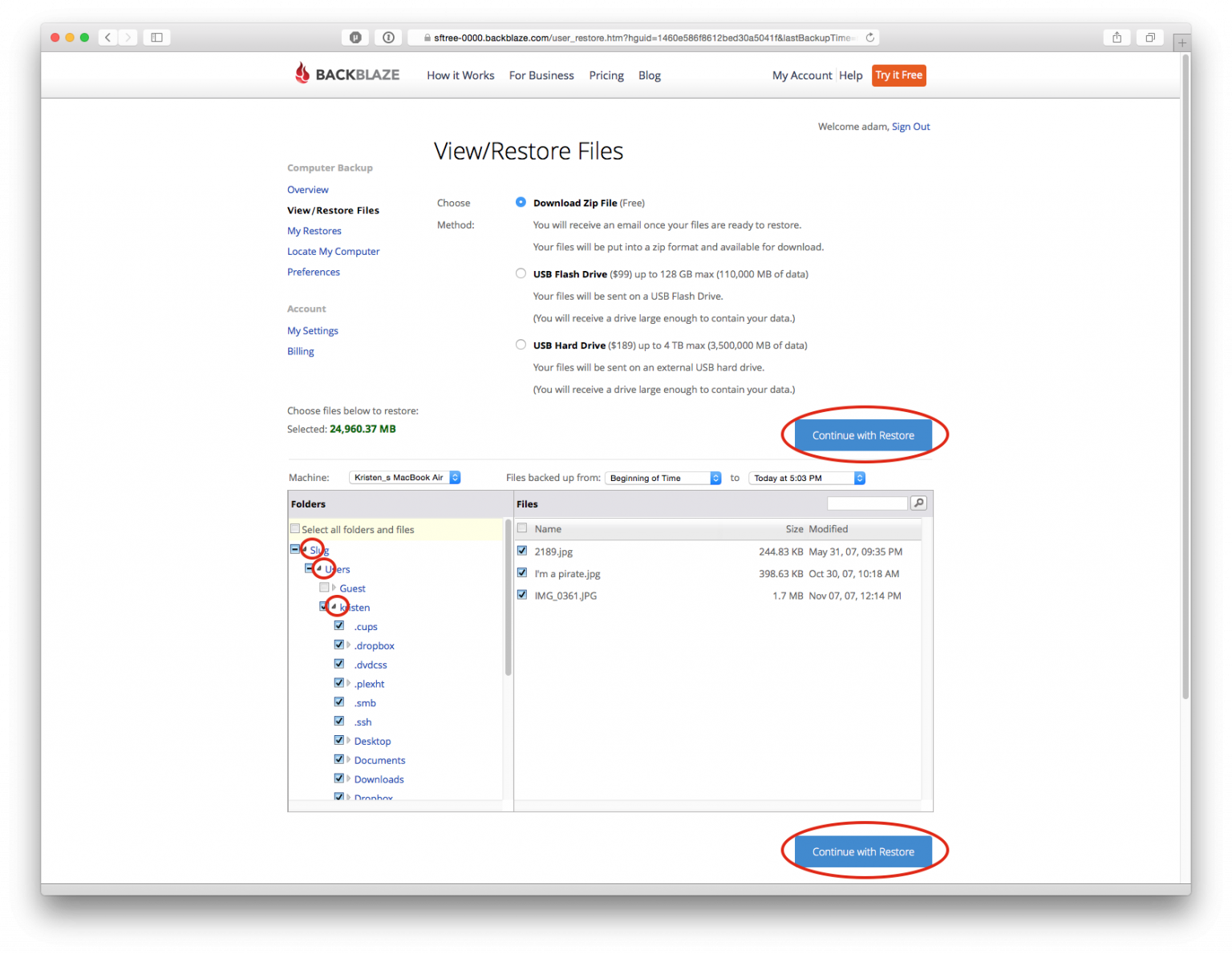 Guide to Restoring Your Files from Your Backblaze Cloud Backup