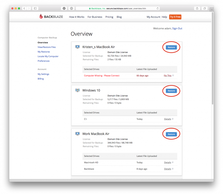 Guide to Restoring Your Files from Your Backblaze Cloud Backup