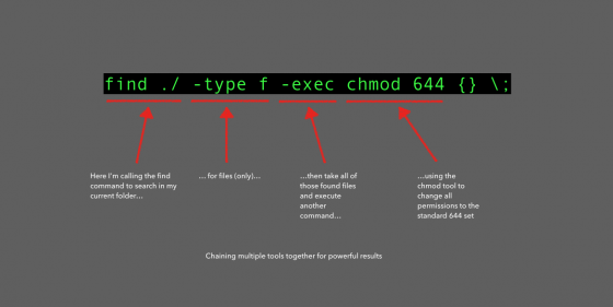 Metadata: Your File's Hidden DNA and You