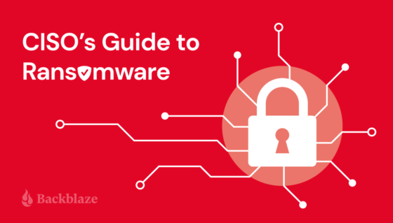 Complete Guide to Ransomware: How to Recover and Prevent an Attack