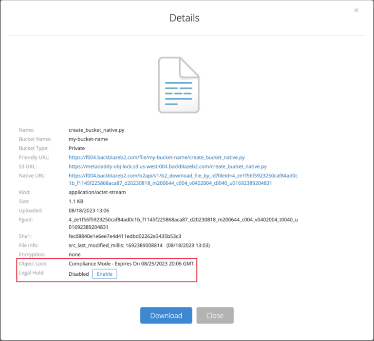 Different Levels of Object Lock Control for Ransomware Protection